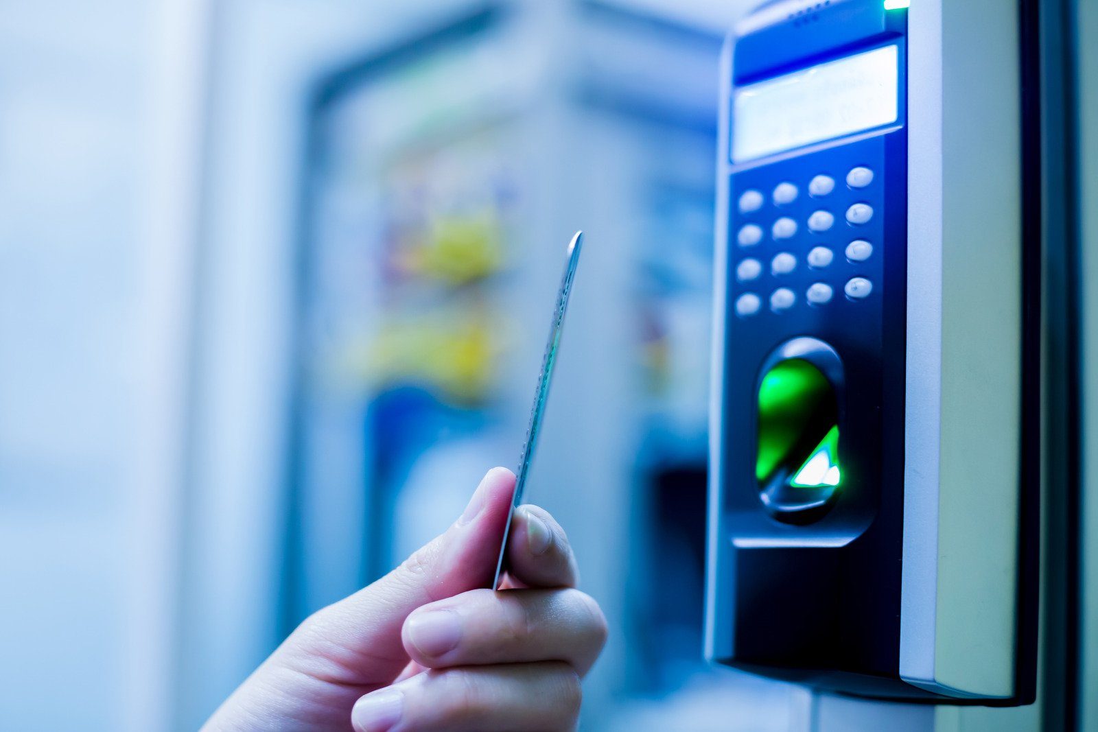 Services - MIT Solution